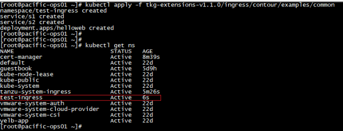 Deploying Contour Ingress Controller on Tanzu Kubernetes Grid (TKG ...
